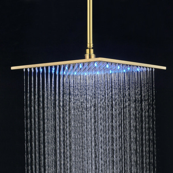 Alenartwater Rain Fixed Shower Head 1 8 Gpm Gpm Wayfair